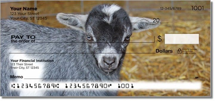 Baby Goat Personal Checks - Personal Checks
